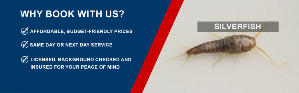 Silverfish - Gam Exterminating America's Exterminators