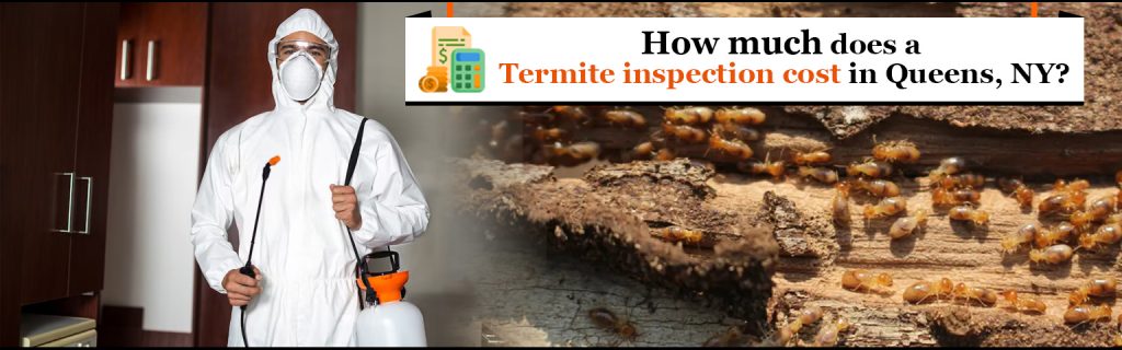 How much does a Termite inspection cost in Queens, NY?