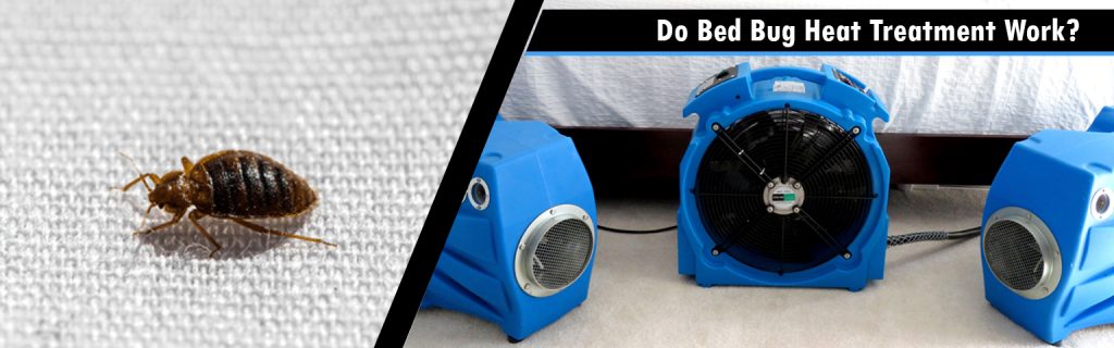 Do Bed Bug Heat Treatment Work