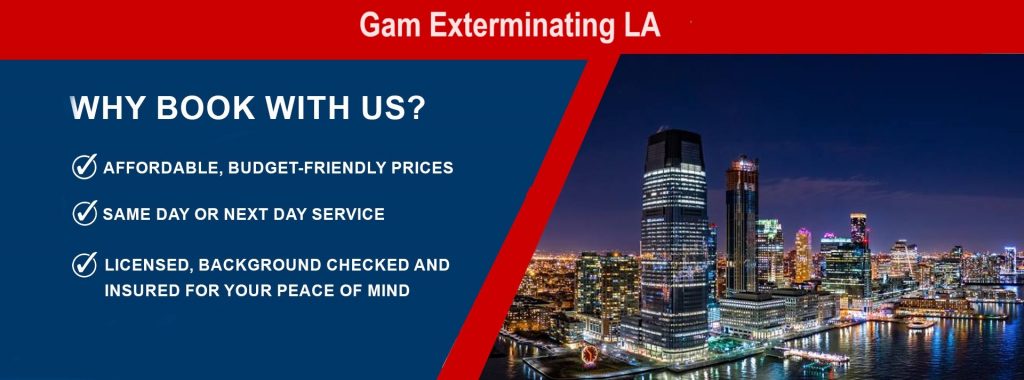 Gam Exterminating LA - Gam Exterminating America's Exterminators